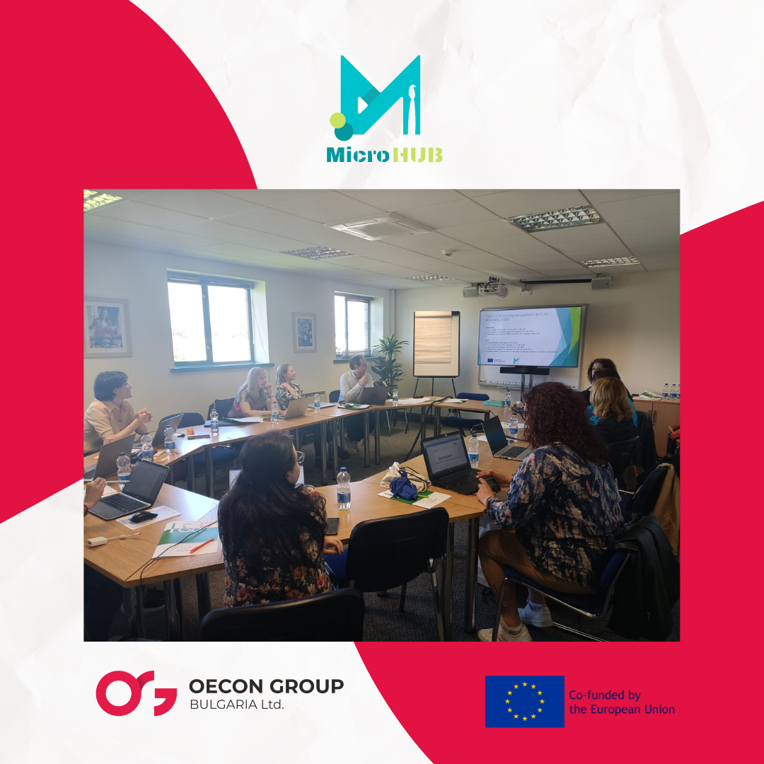 Partner’s meeting in Dublin | MicroHUB project - OECON BULGARIA
